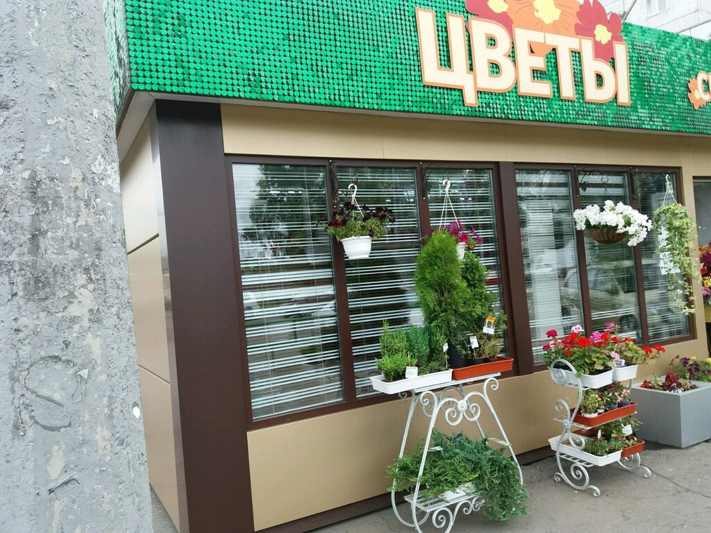 Çiçekçiler Ботаника, Novokuznetsk, foto