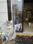Лапка (Aviakonstruktorov Avenue No:14Б), petshop  Saint‑Petersburg'dan