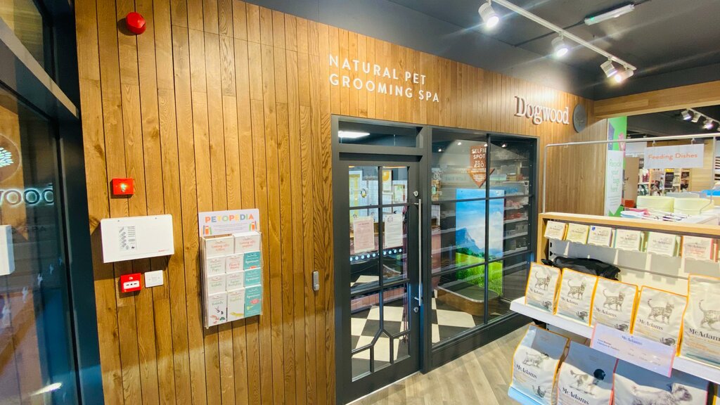 Evcil hayvan kuaförleri Dogwood Grooming, İngiltere, foto