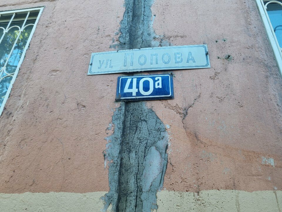 Evcil hayvan yetiştiricileri Epic Fail, Smolensk, foto