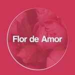 Flor de Amor (Zipovskaya Street No:34Б, mikrorayon Zavod Izmeritelnykh Priborov), çiçekçiler  Krasnodar'dan