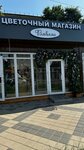 Фловея (Moskovskaya Street No:50), çiçekçiler  Krasnodar'dan