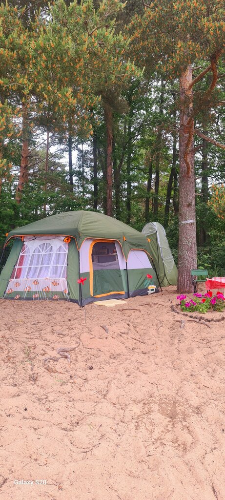 Piknik alanı Место для пикника, Saint‑Petersburg ve Leningradskaya oblastı, foto