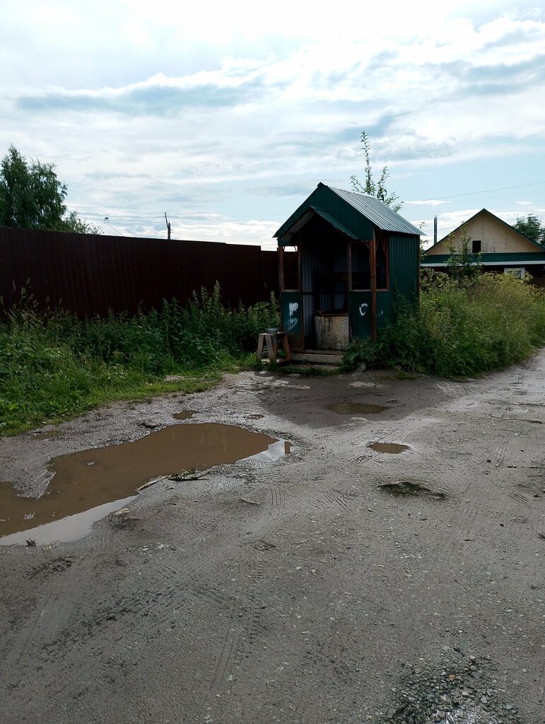 Pınar, çay Кедровый родник, Sverdlovskaya oblastı, foto