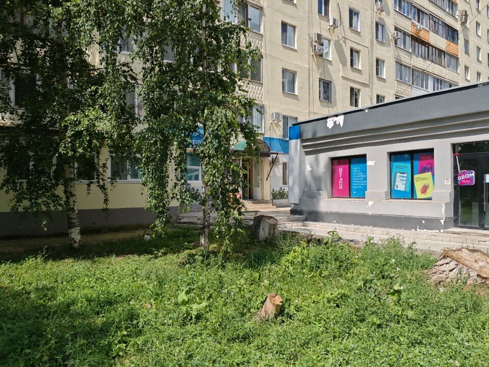 Evcil hayvan yetiştiricileri Pitomnik Mysteria Magnum, Samara, foto