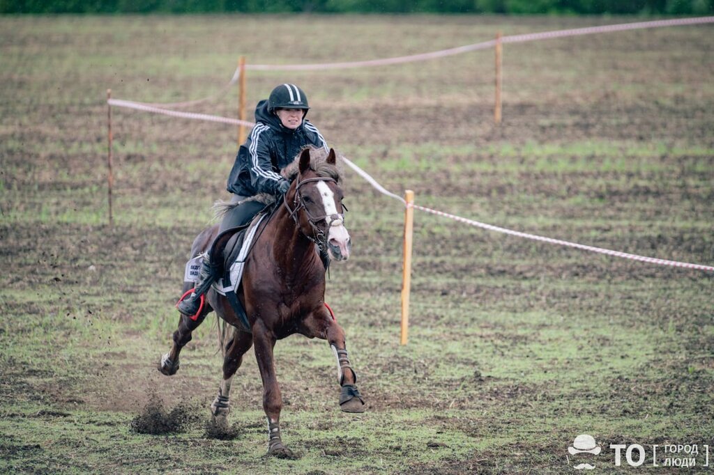 At ve binicilik kulüpleri Томское Ранчо, Tomskaya oblastı, foto