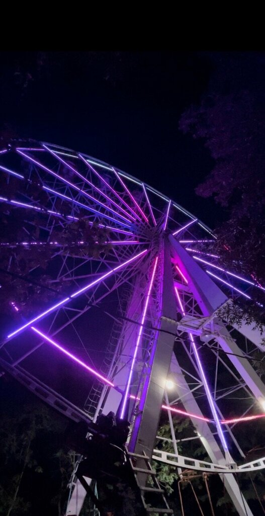Atraksiyon Ferris wheel, Gümrü, foto