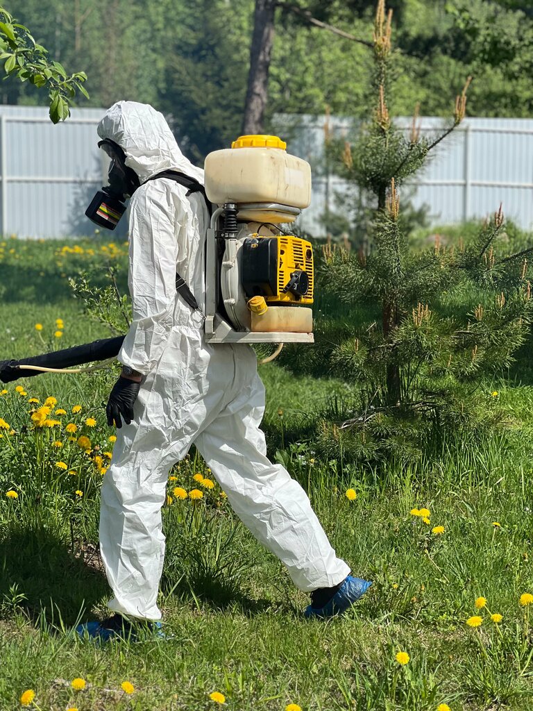 Haşere ilaçlama firmaları 4dk, Saint‑Petersburg, foto