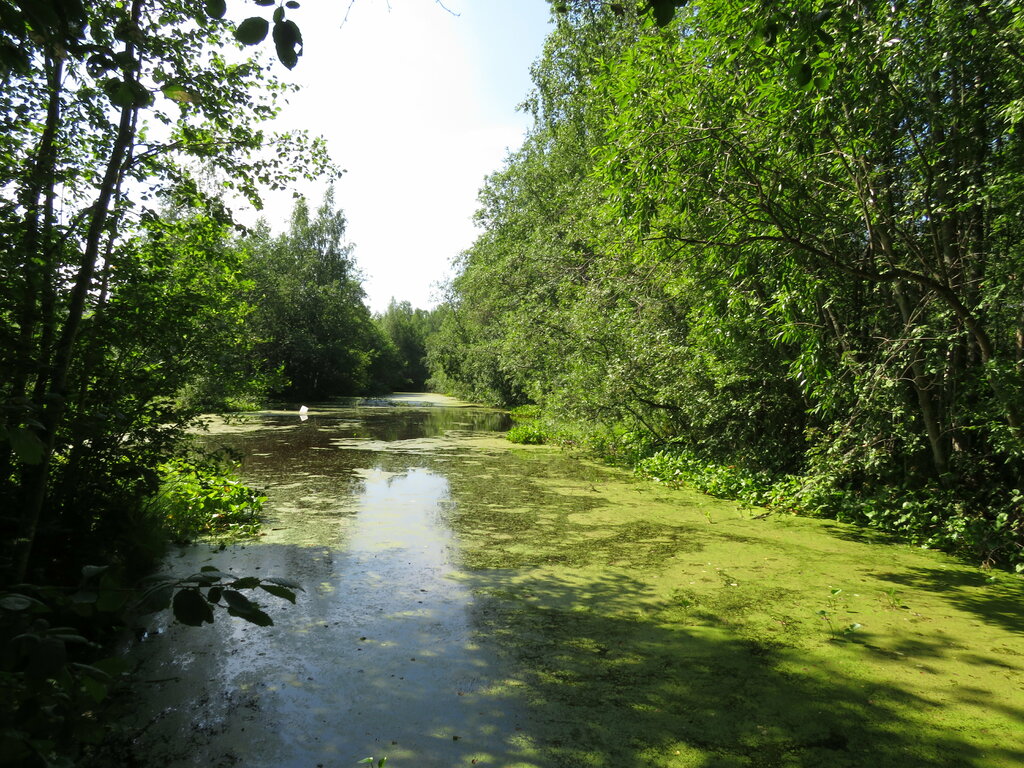 Kültür ve eğlence parkları Tipinitskiy Square, Petrozavodsk, foto
