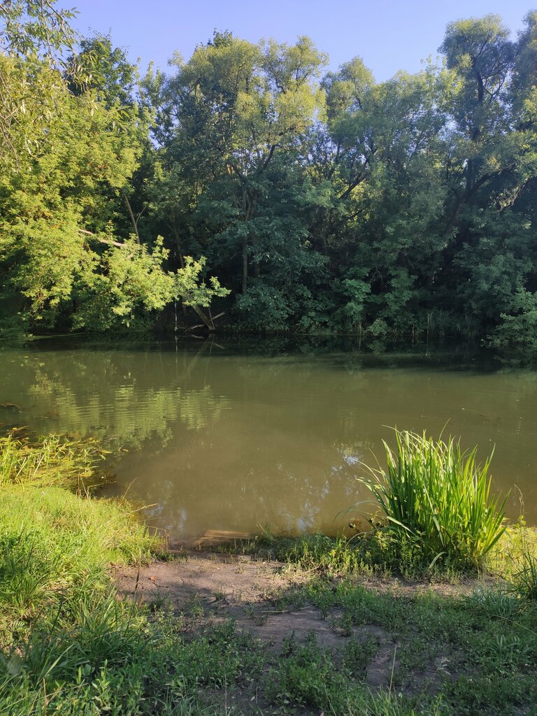 Plaj Пляж, Tambovskaya oblastı, foto