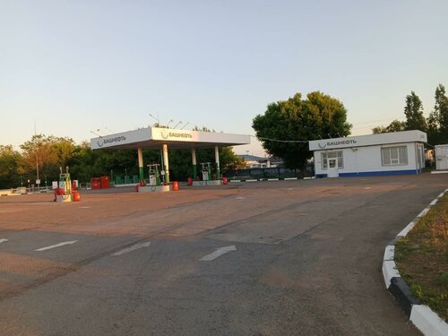 Benzin istasyonu Башнефть, Orenburgskaya oblastı, foto
