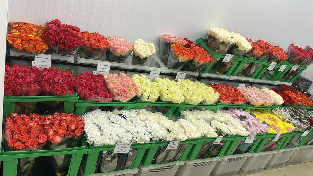 Çiçek teslimatı Цветы, Moskova, foto