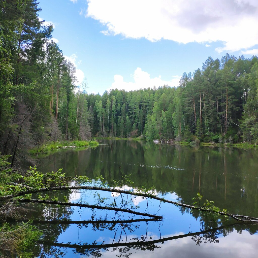 Turistik yerler Миткинский рудник, Sverdlovskaya oblastı, foto