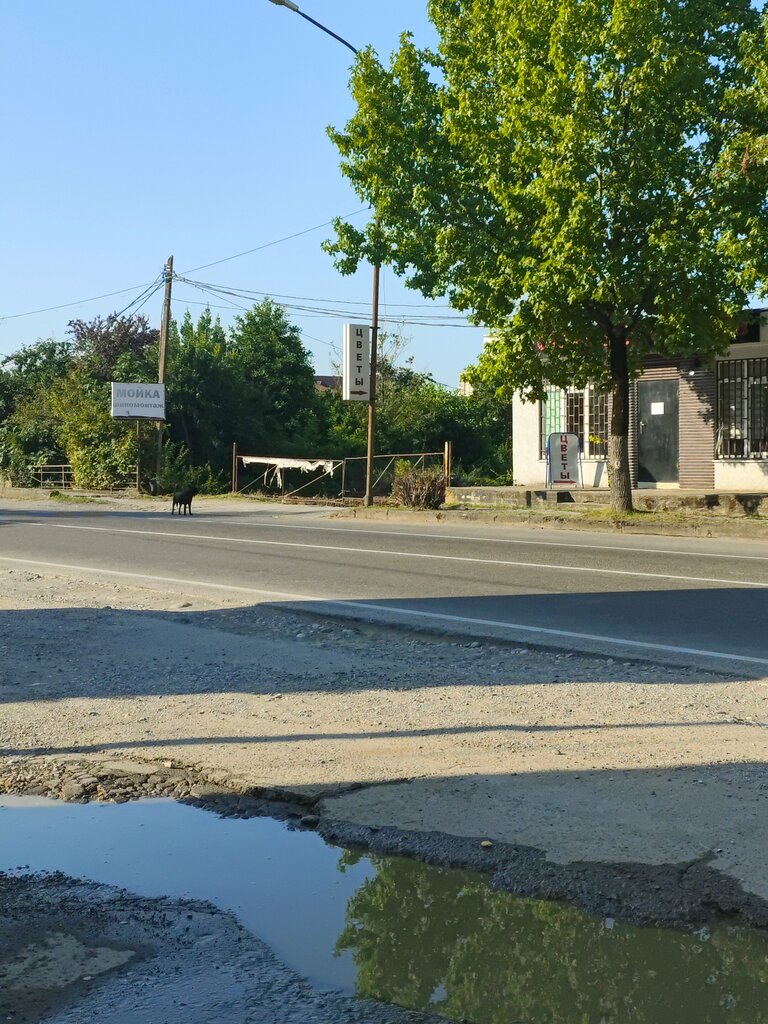 Oto lastik tamiri Шиномонтаж, Gagra, foto