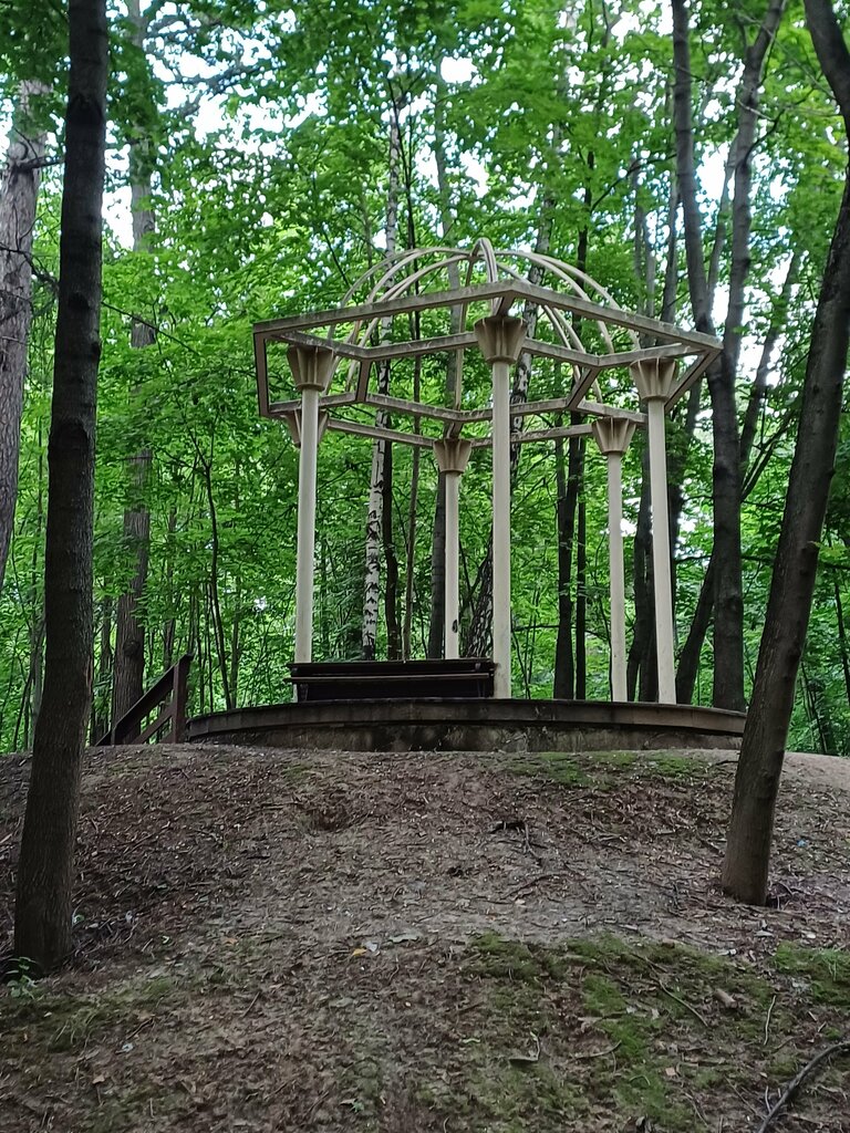 Çardak Gazebo, Moskova, foto