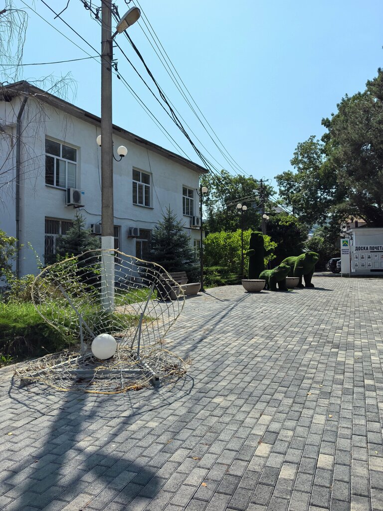 Park, sokak heykeli Три медведя, Krasnodarski krayı, foto