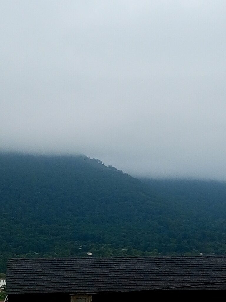 Dağ zirvesi Гора Дамхурц, Krasnodarski krayı, foto
