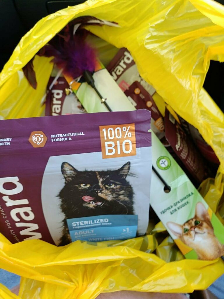 Petshop Lenta Zoomarket, Rostov‑na‑Donu, foto