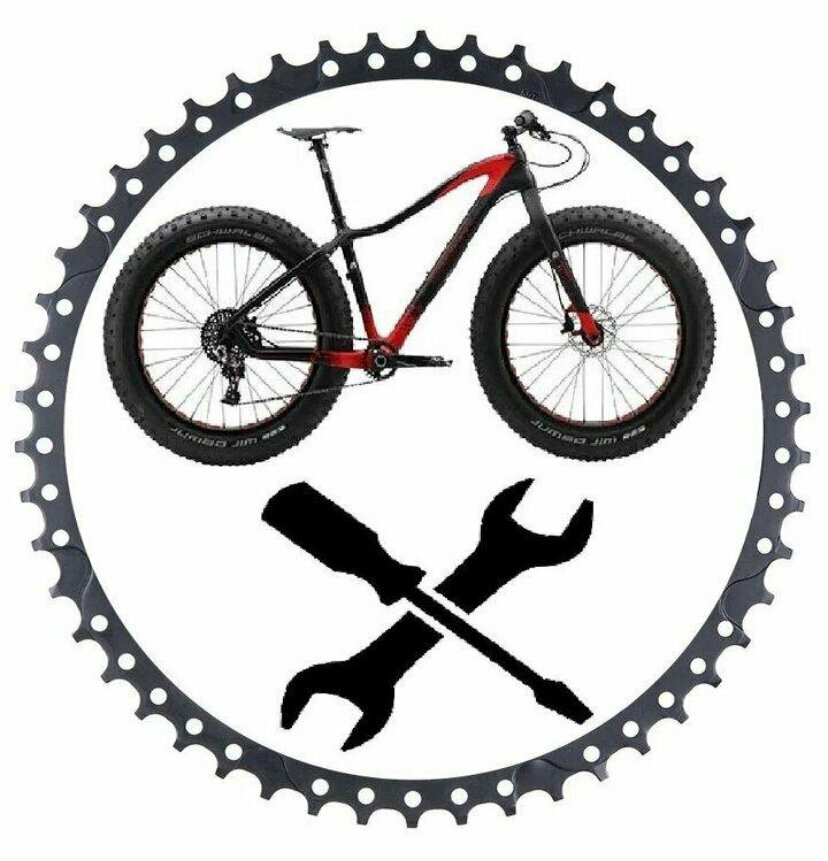 Hayvanat bahçesi merkezi Коша-Моша, Kazan, foto