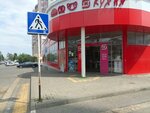 Цветы (Kulakova Avenue No:69), çiçekçiler  Stavropol'dan