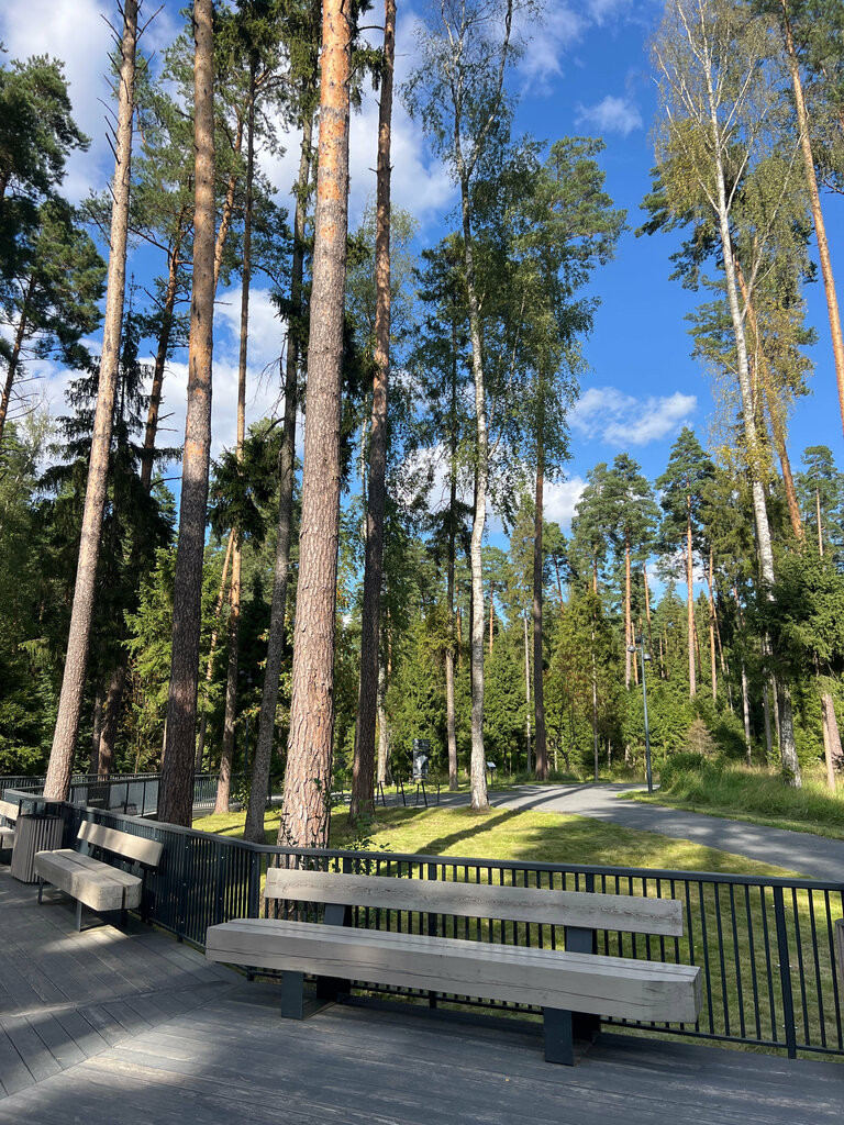 Tatil altyapısı Зона тихого отдыха, Moskova ve Moskovskaya oblastı, foto