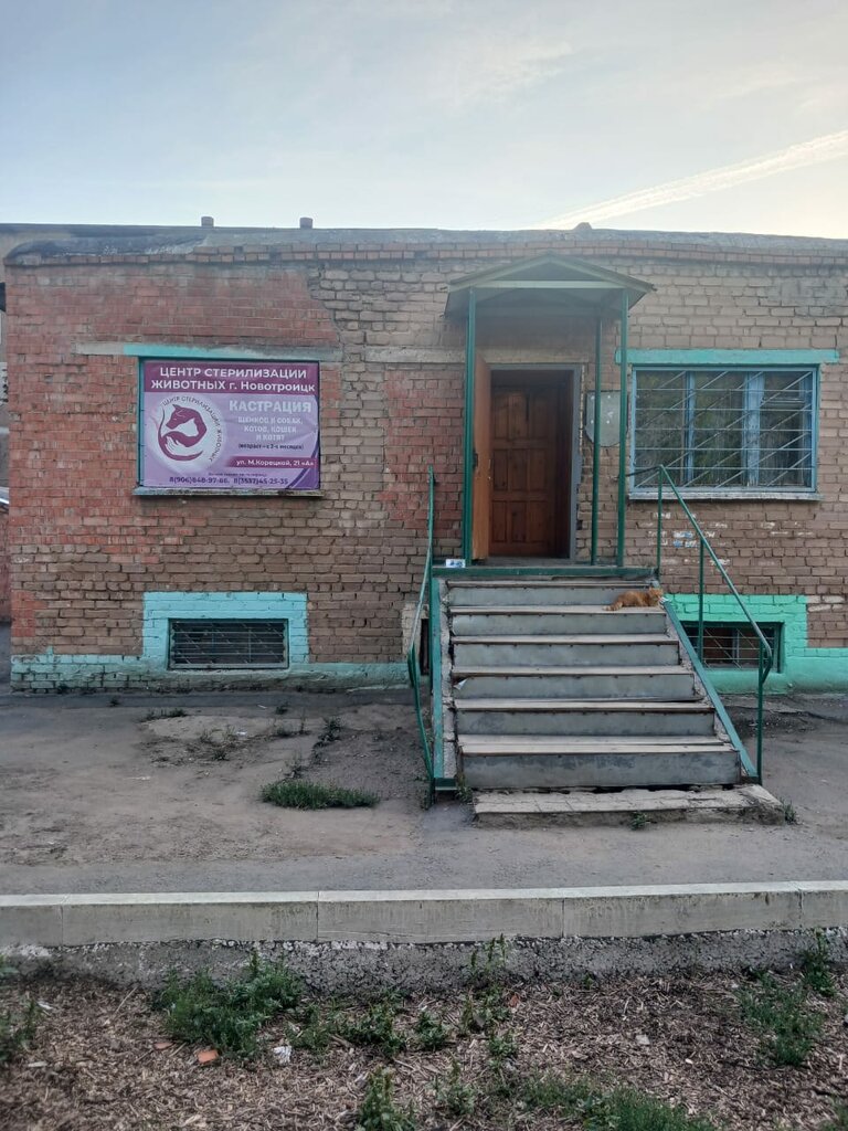Veteriner klinikleri Центр стерилизации животных, Novotroitsk, foto