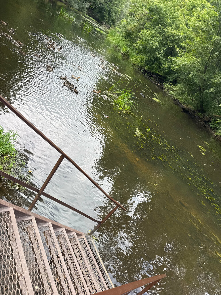 i̇skele Jetty , Gomelskaya oblastı, foto