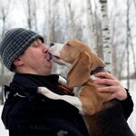 Школа дрессировки собак (Novoyasenevskiy Avenue No:16к1), köpek hizmeti  Moskova'dan