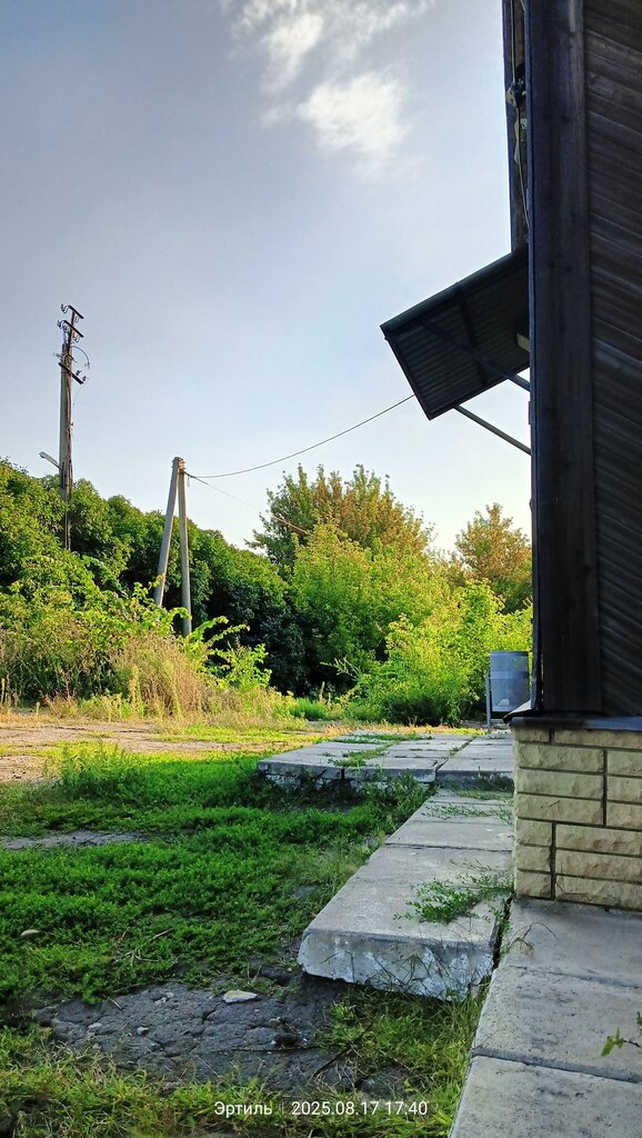 Yük istasyonu станция Эртиль, Ertil, foto