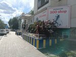Zoo shop (Mіrjaqyp Dulatuly kóshesі No:89), petshop  Kostanay'dan
