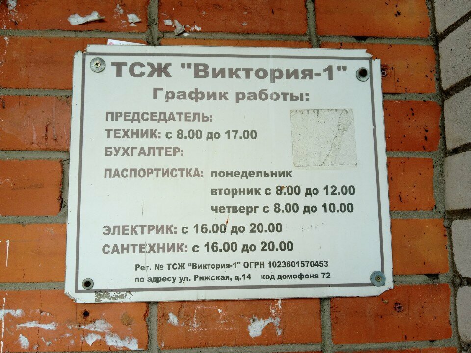 Bina, site yönetimi TSZh Viktoriya-1, Voronej, foto