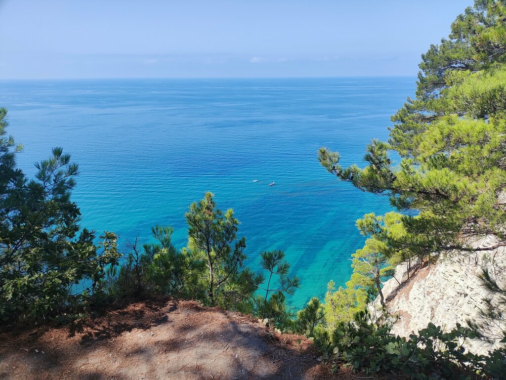 Resort oteller, tesisler База МГТУ им. Н. Э. Баумана, Krasnodarski krayı, foto