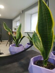 Новый Образ (S.M. Sherstobitova Street No:8), kuaför meslek eğitimi  Lipetsk'ten
