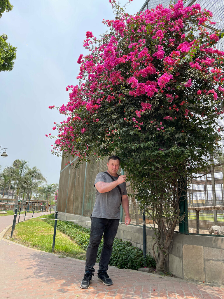 Parklar ve ormanlar La Muralla Park Cercado de Lima, Lima, foto