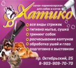 Хатико Груминг (Oktyabrskiy Avenue No:25), evcil hayvan kuaförleri  Novokuznetsk'ten