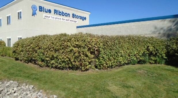 Depo hizmetleri Blue Ribbon Storage, Lindon, foto