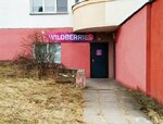 Wildberries (Karzhaniewskaga Lane No:6Б), teslimat noktası  Minsk'ten