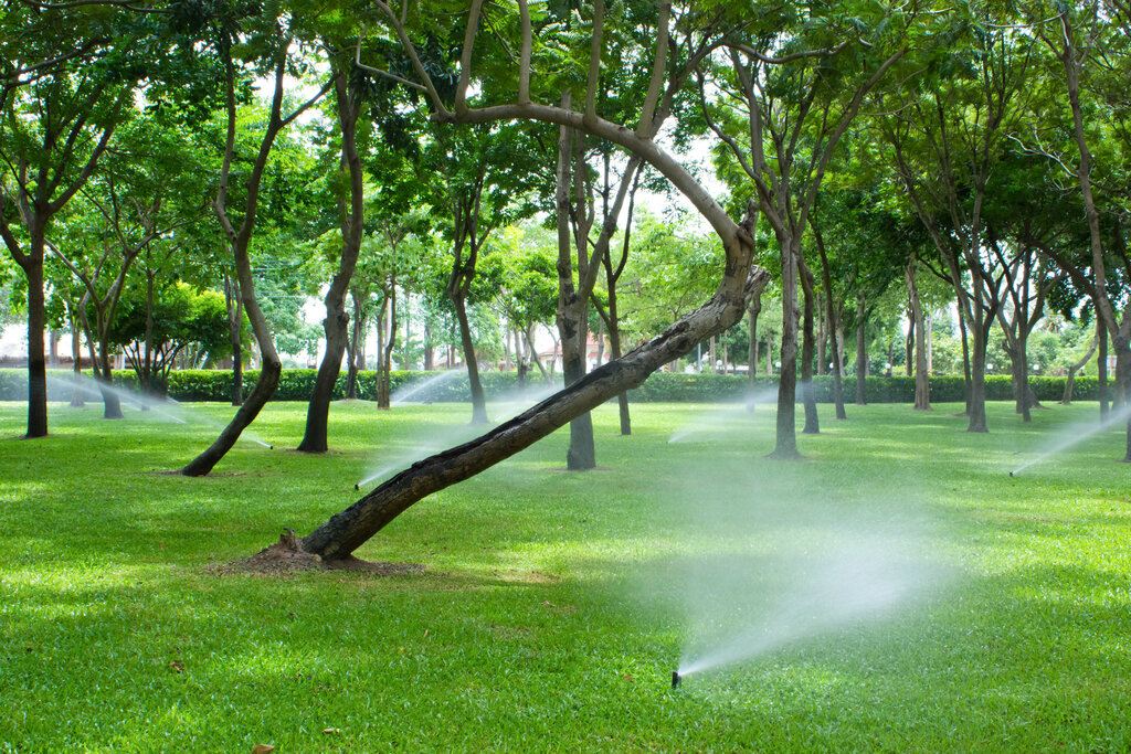 Aydınlatma teknolojileri Homestead Lawn Sprinklers Co Inc, New Jersey Eyaleti, foto