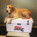 Quality Tire Pros (Tennessee, Hamilton County, Chattanooga), express yağ değişim noktası  Chattanooga'dan
