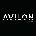 Avilon Premium (Volgogradsky Avenue No:43к2), otomobil satış galerileri  Moskova'dan