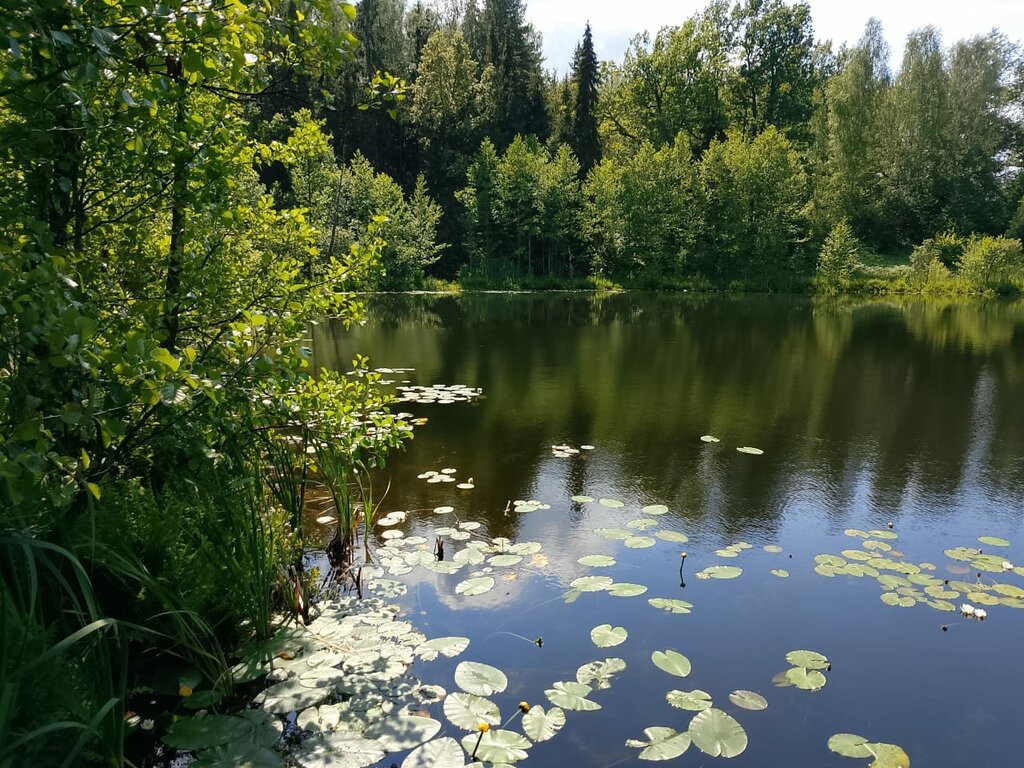 Turistik yerler Русалочье озеро, İvanovskaya oblastı, foto