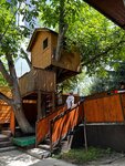 Damina (Podgornaıa kóshesi No:14А, Baǵanashyl shaǵyn aýdany), anaokulları  Almatı'dan