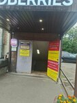 Internet-magazin Shinakord.ru (Korolyova Avenue No:3), jant ve lastikçiler  Koroliov'dan
