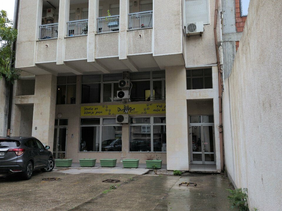 Evcil hayvan kuaförleri Dog art, Belgrad, foto