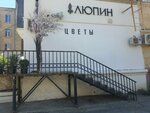 Люпин Цветы (Shahumyana Street No:62), çiçekçiler  Astrahan'dan
