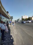Parkent Market (Parkent Street No:30B), toplu taşıma durağı  Taşkent'ten
