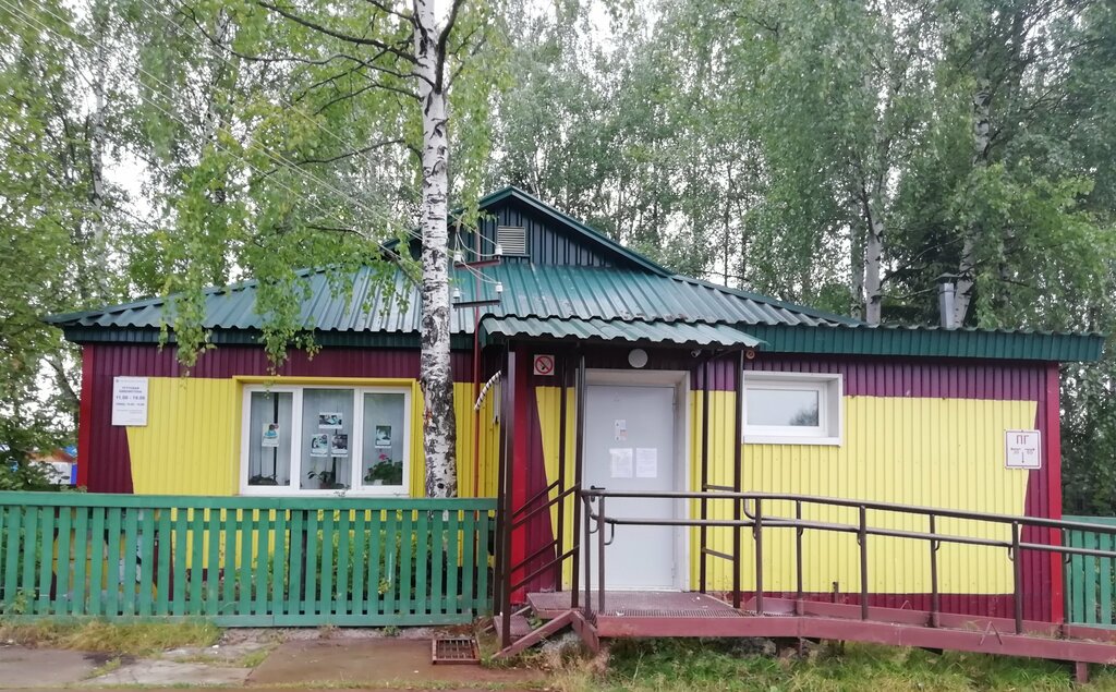 Kütüphaneler Ugut library named after E. A. Esaulova, Hantı‑Mansi Özerk Okrugu, foto