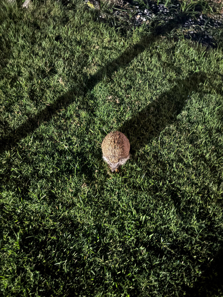 Otel Side Royal Hotels, Manavgat, foto