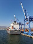 Alsancak Limanı (İzmir, Konak, Umurbey Mah.), deniz ve nehir iskeleleri  İzmir'den