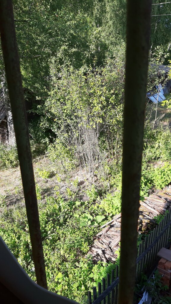 Anaokulları Золотой Ключик, Nijegorodskaya oblastı, foto